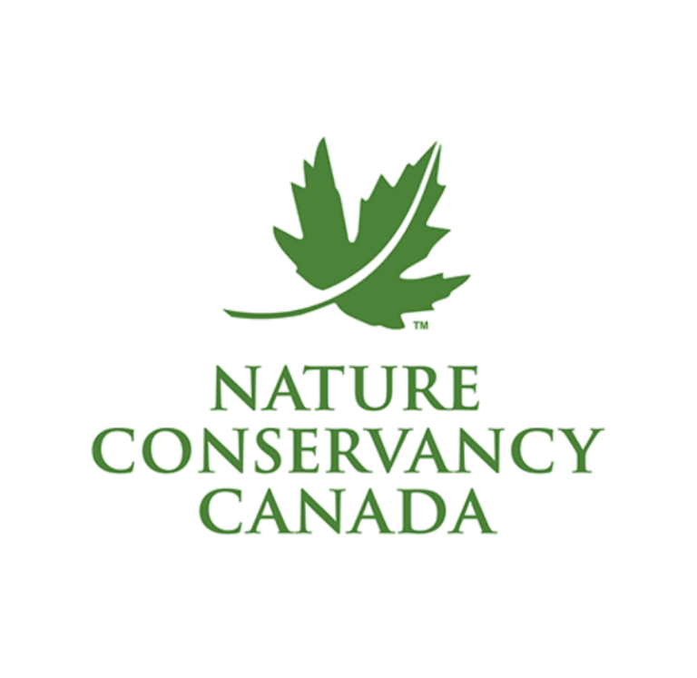 Top Environmental Charities in Canada | Charitable Impact | Blog