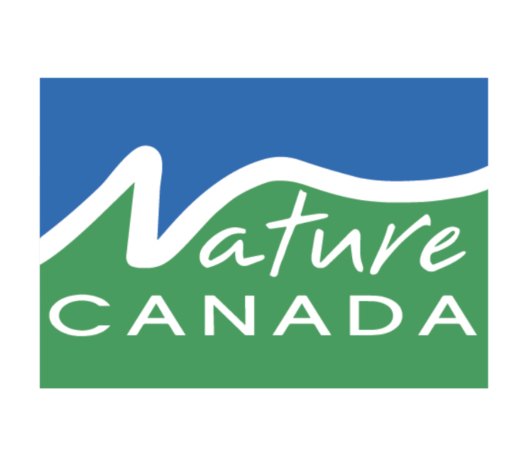 Top Environmental Charities in Canada | Charitable Impact | Blog